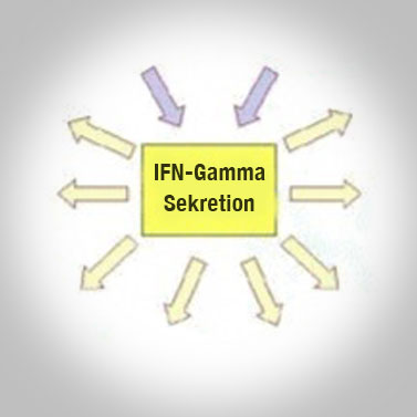 Interferon-(IFN)-Gamma – Naturheilzentrum Breidenbach
